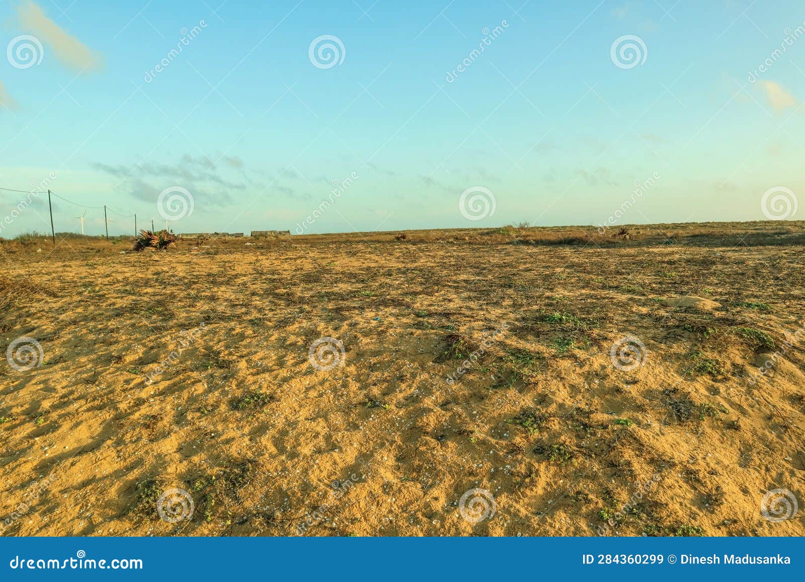 Dry Grassland in the Evening Stock Image - Image of blue, grassland ...