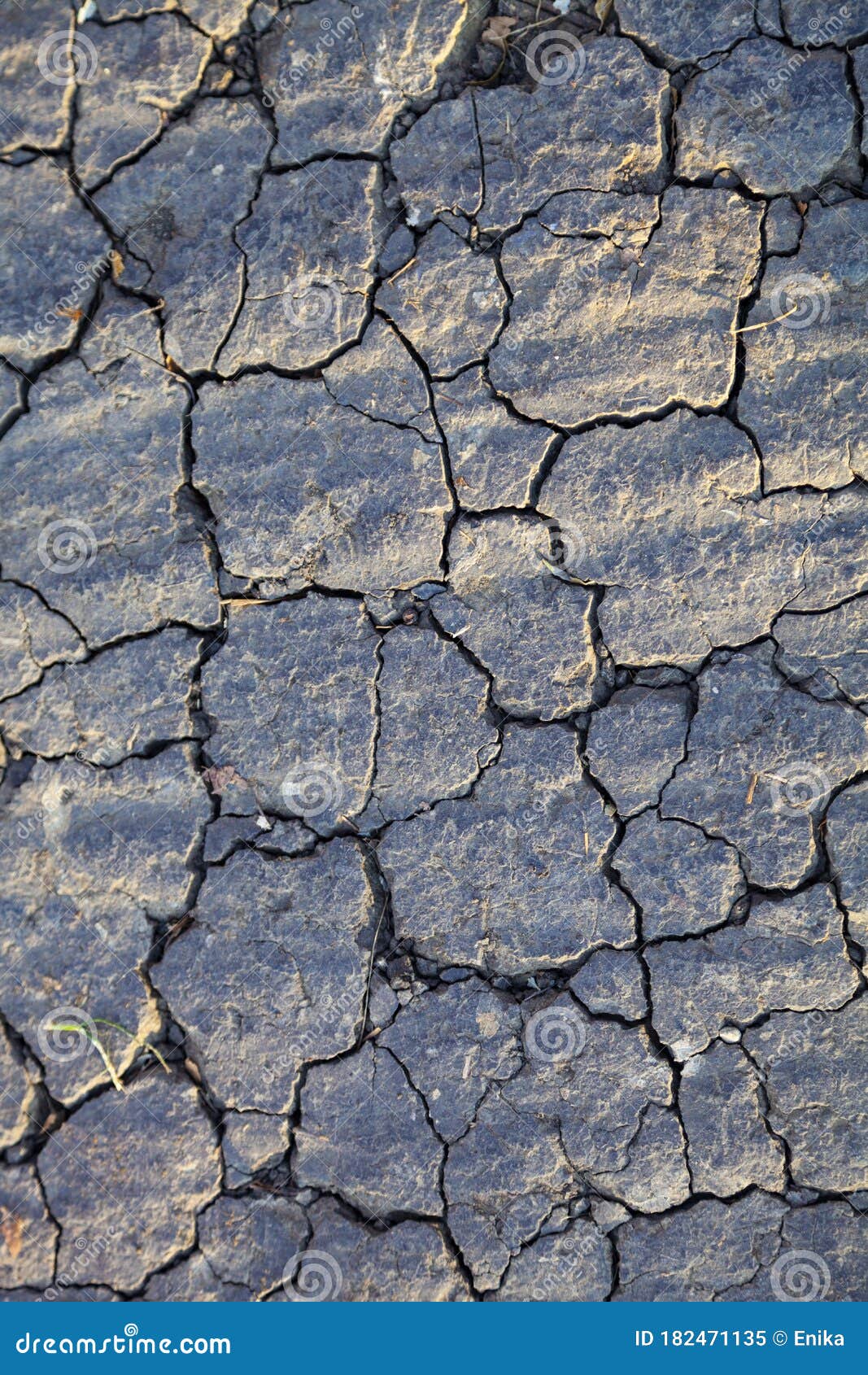 Dry gray ground close up stock image. Image of dust - 182471135