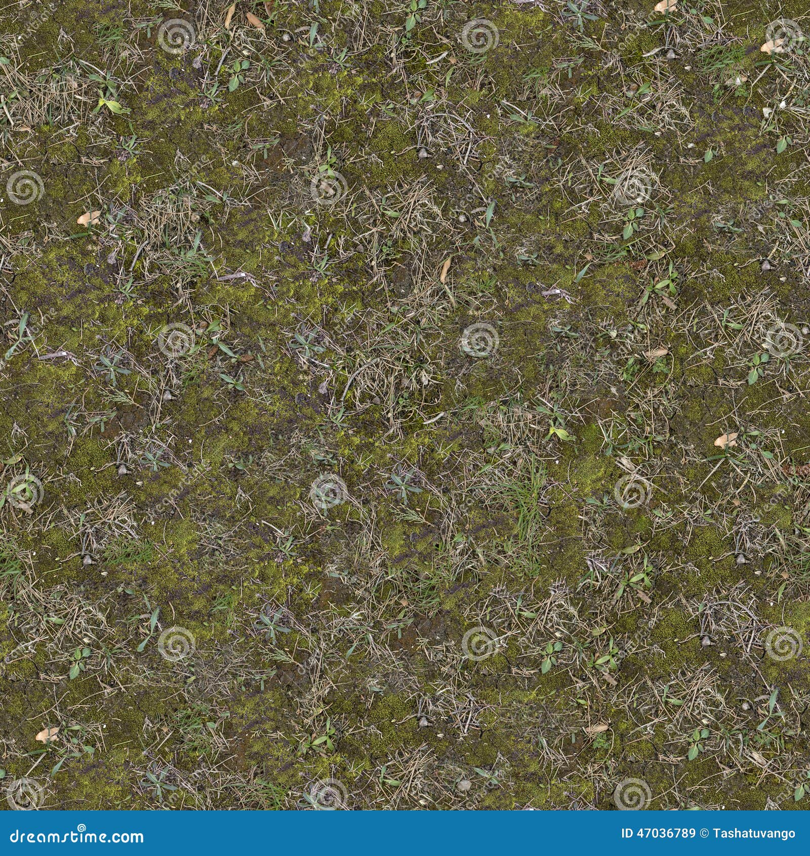 Moss Ground Albedo Map, Diffuse Map Texture Royalty-Free Stock Photo ... Moss Ground Albedo Map, Diffuse Map Texture Royalty-Free Stock Photo ...