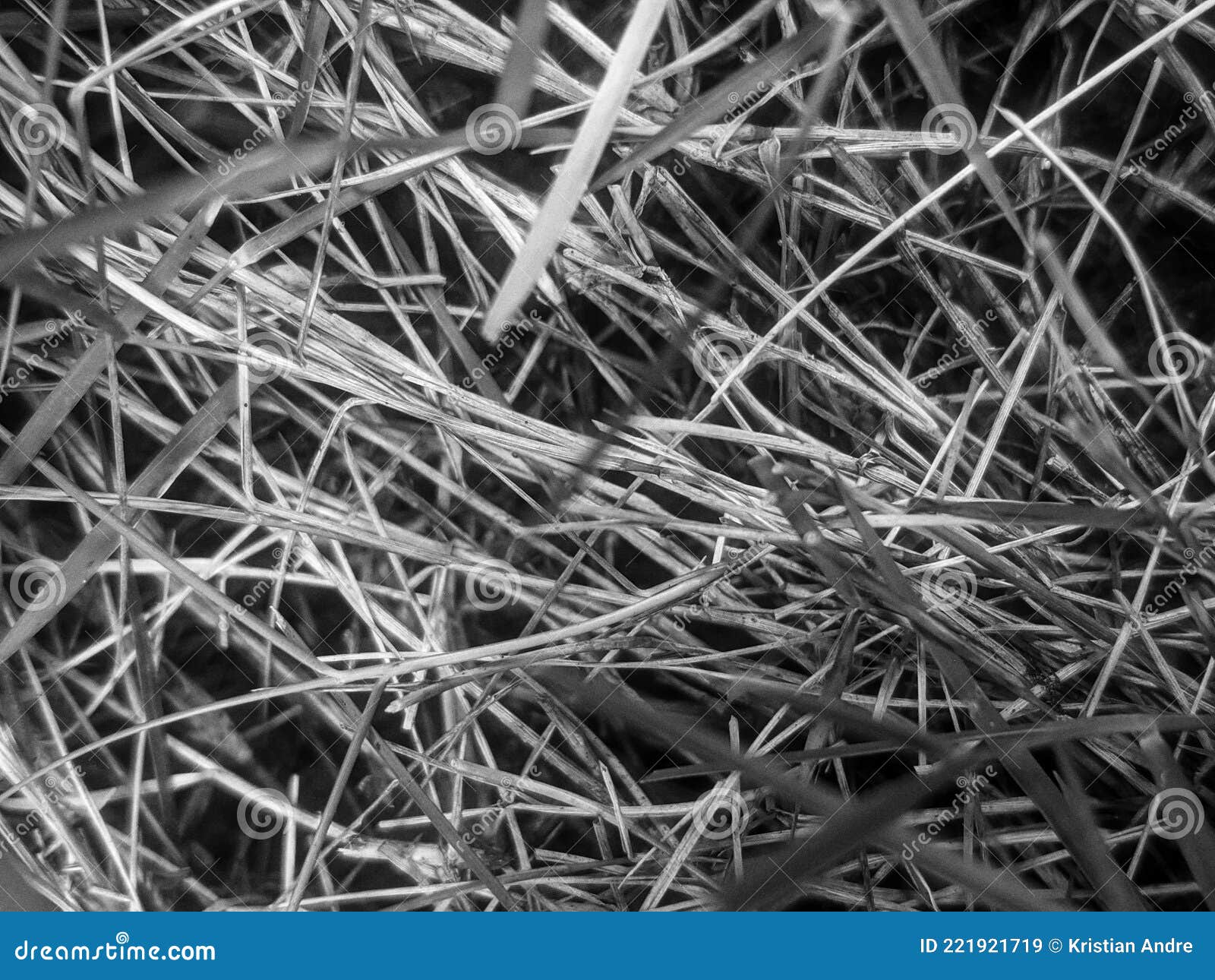 Dry grey grass edit stock image. Image of chill, winter - 221921719