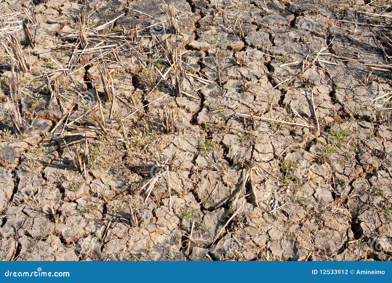 Dry ground stock photo. Image of summer, drought, macro - 12533912