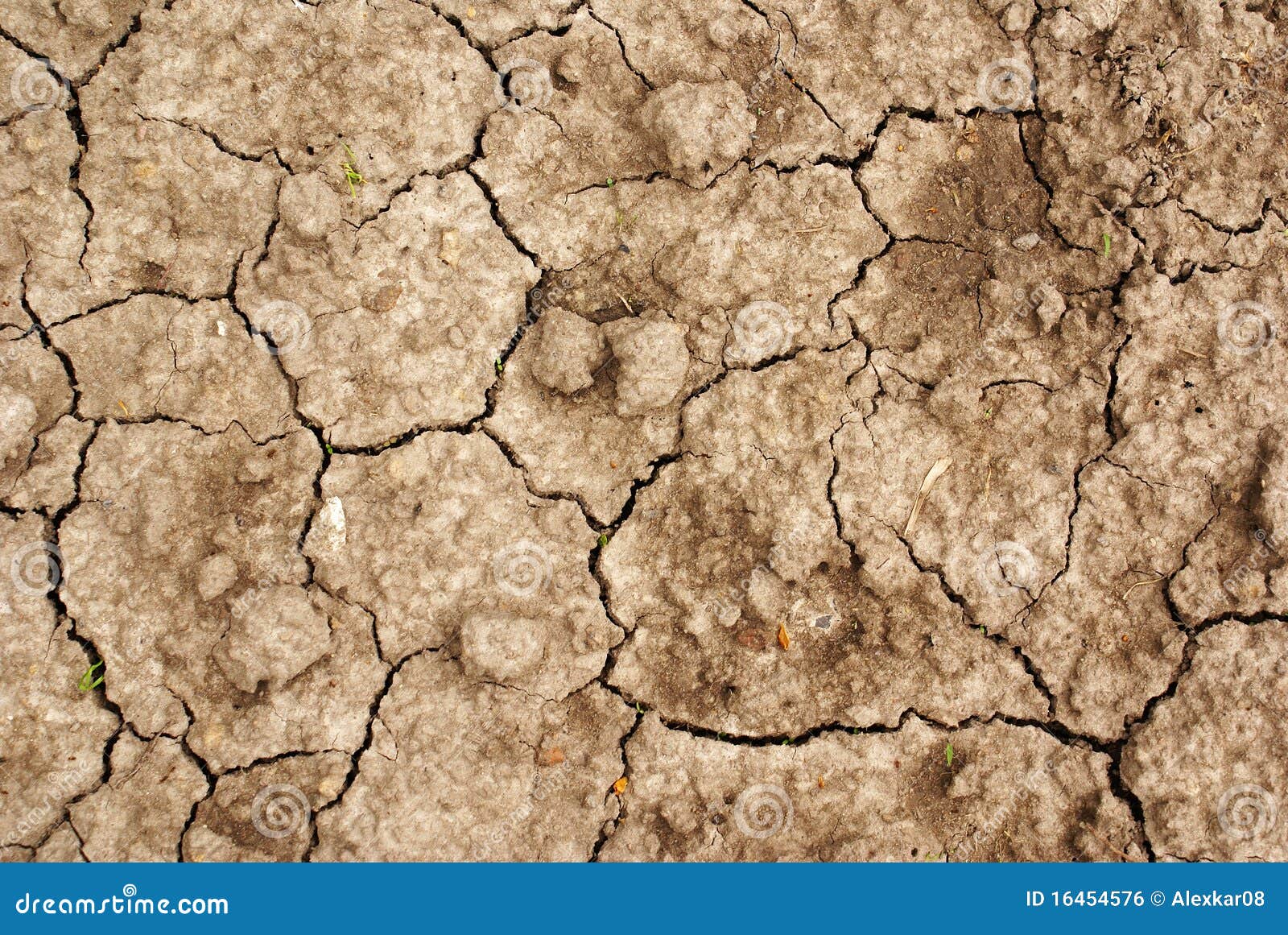 Dry ground stock photo. Image of infertile, dryness, drought - 16454576