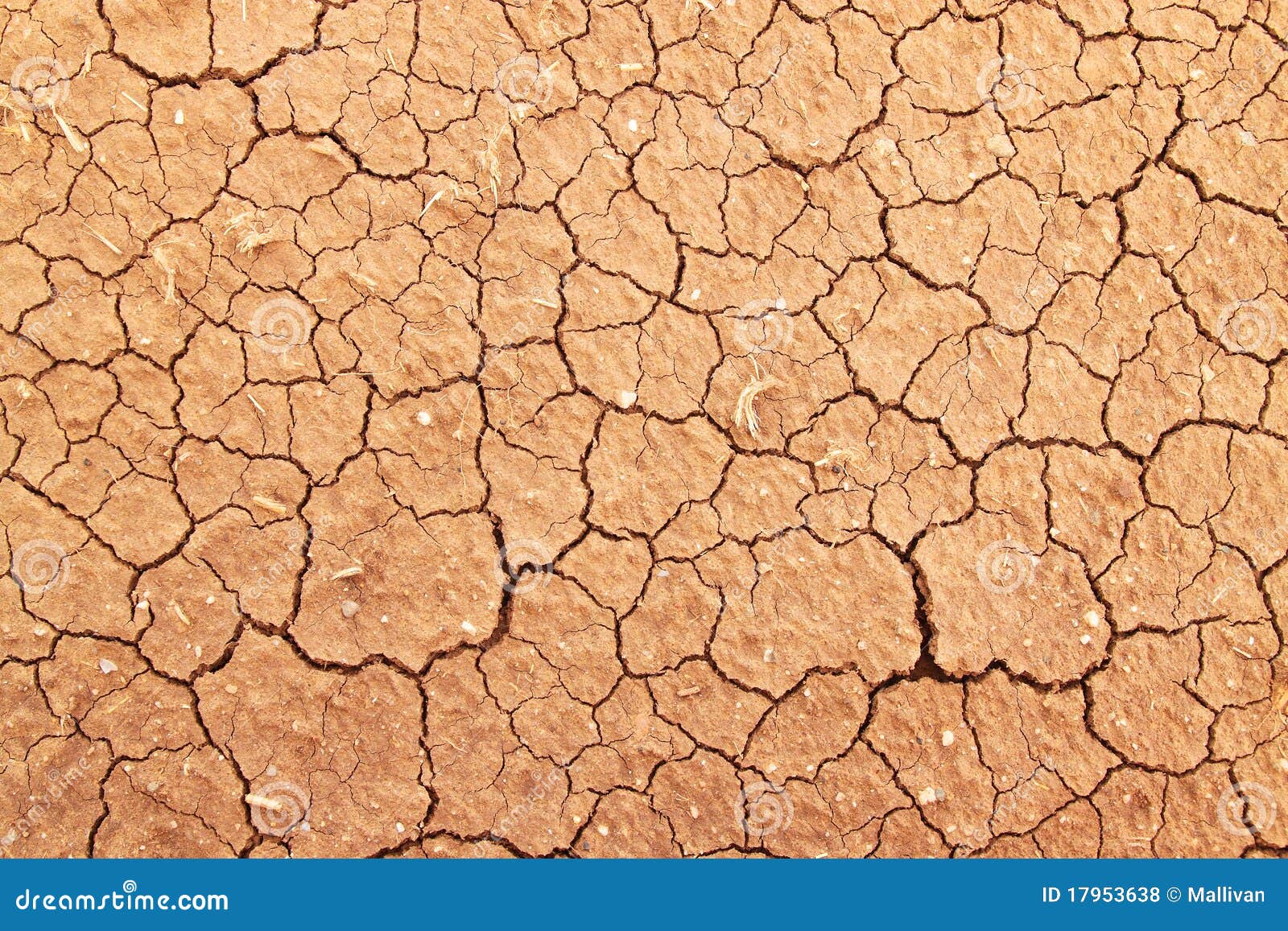 Dry ground stock photo. Image of detail, environmental - 17953638