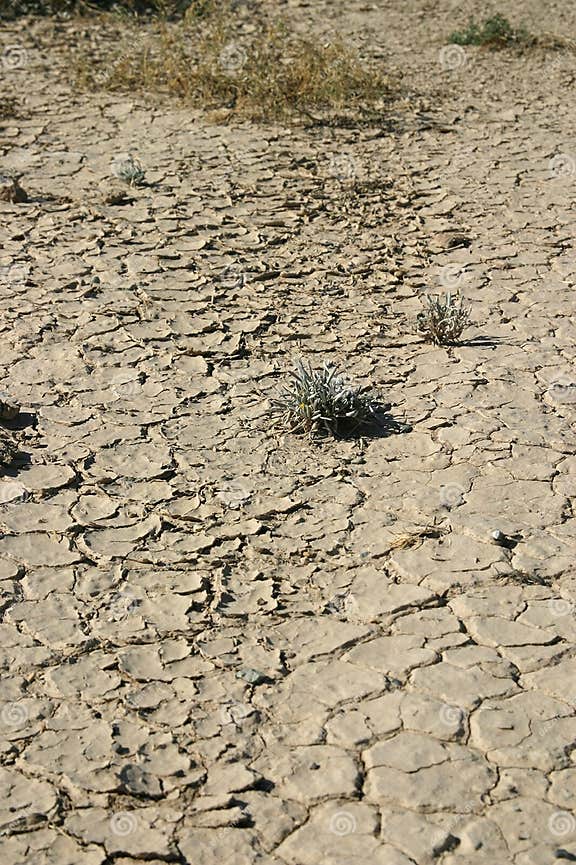 Dry Ground stock photo. Image of drought, thirsty, cracked - 185550