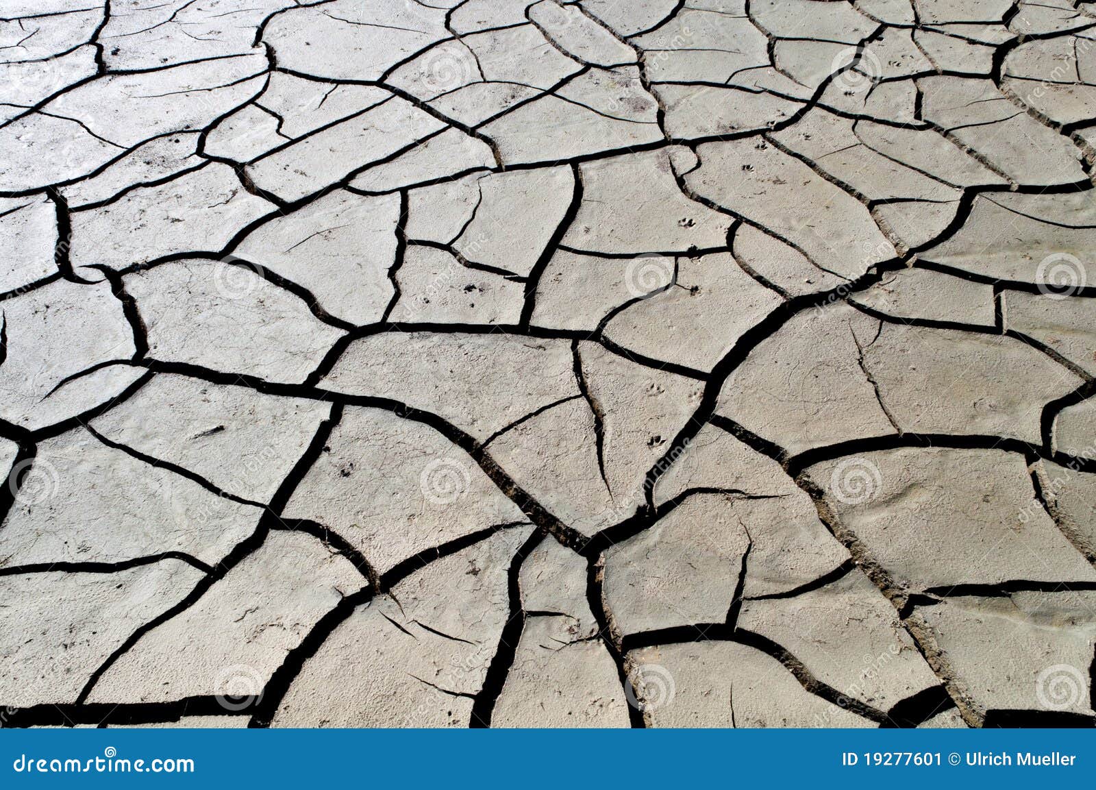 Dry ground stock image. Image of natural, surface, crack - 19277601