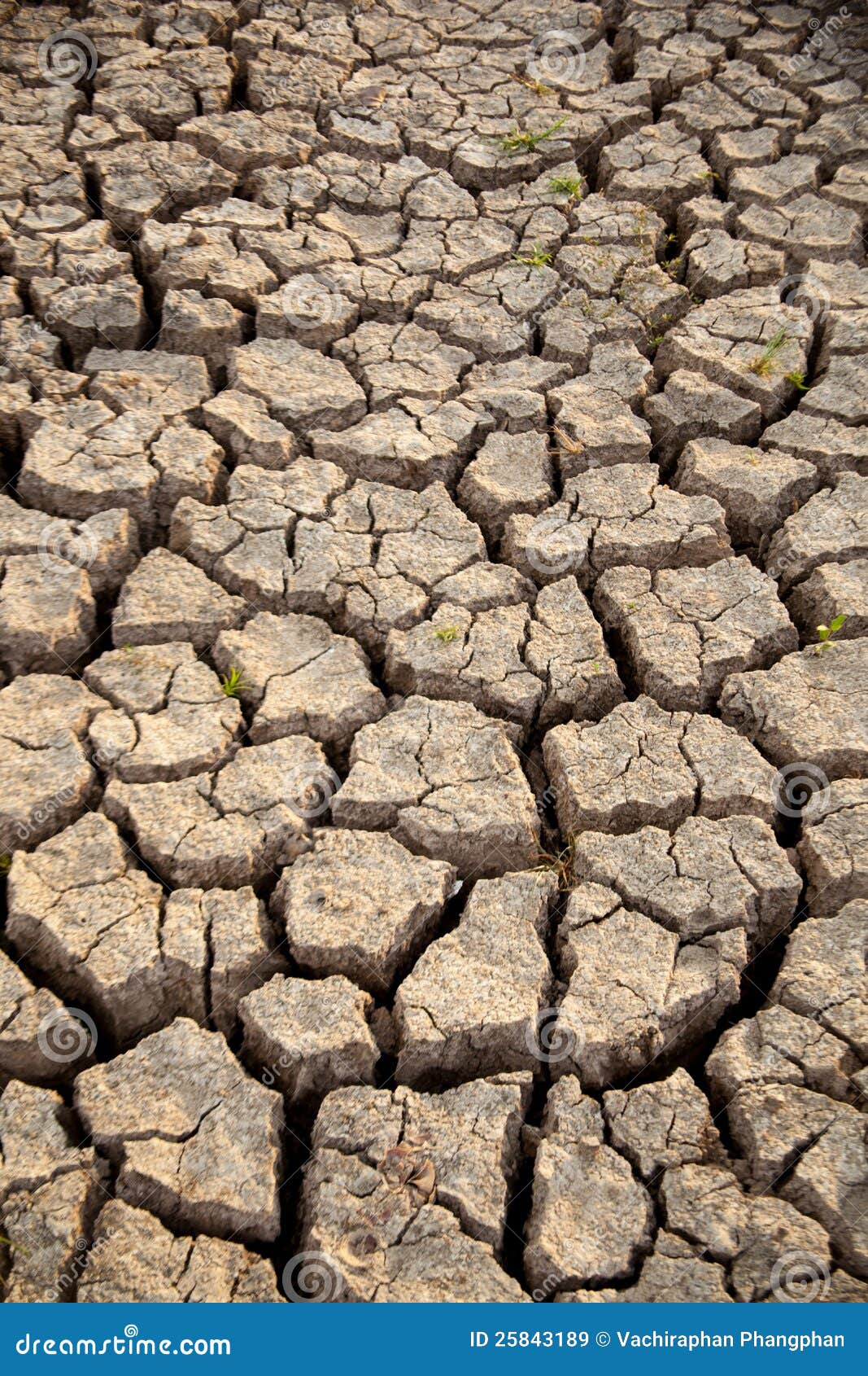 Dry ground. stock image. Image of abstract, environmental - 25843189