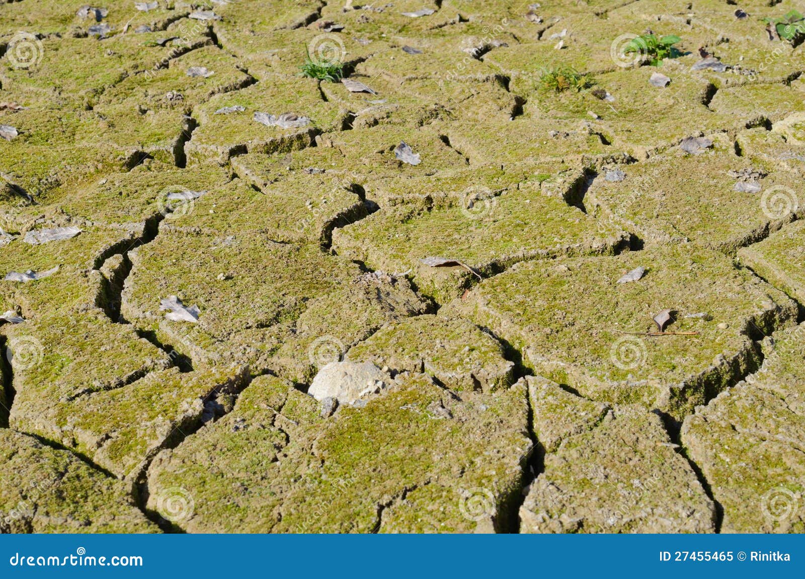 Dry ground stock image. Image of cracks, disaster, earth - 27455465
