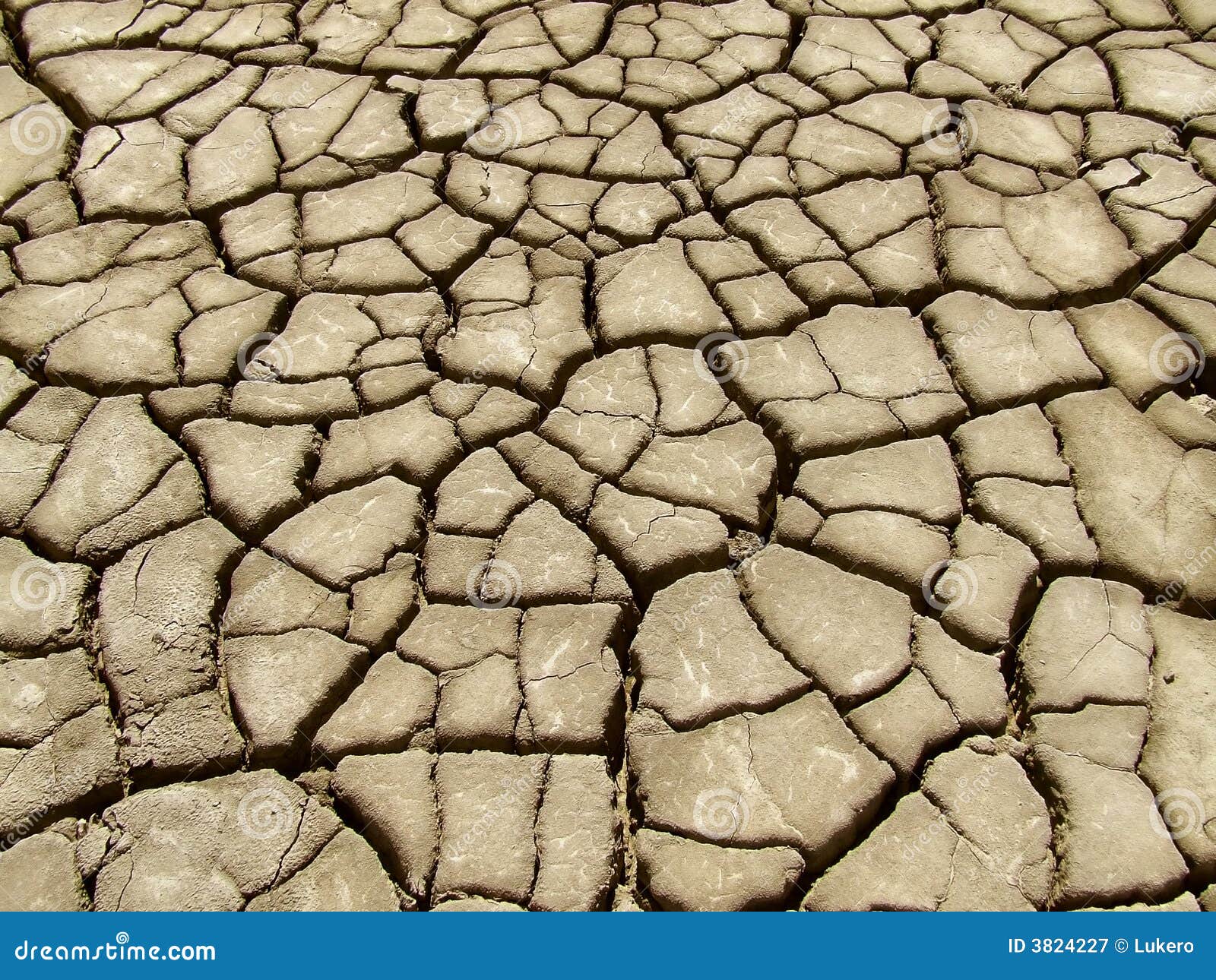 Dry Ground Royalty Free Stock Photography - Image: 3824227