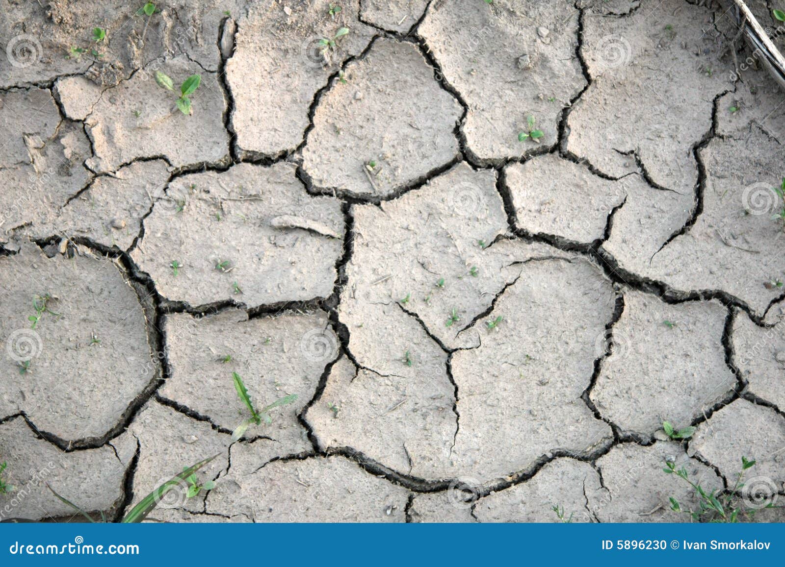 Dry ground stock photo. Image of fissure, crannied, crust - 5896230