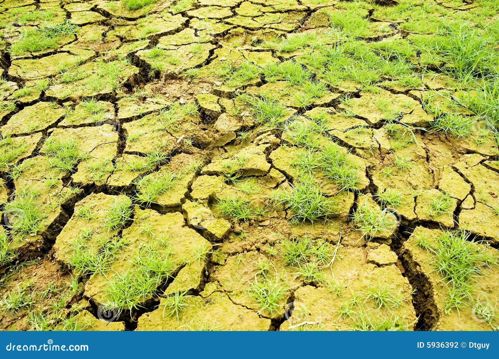 Dry ground stock photo. Image of clay, crack, nature, yellow - 5936392