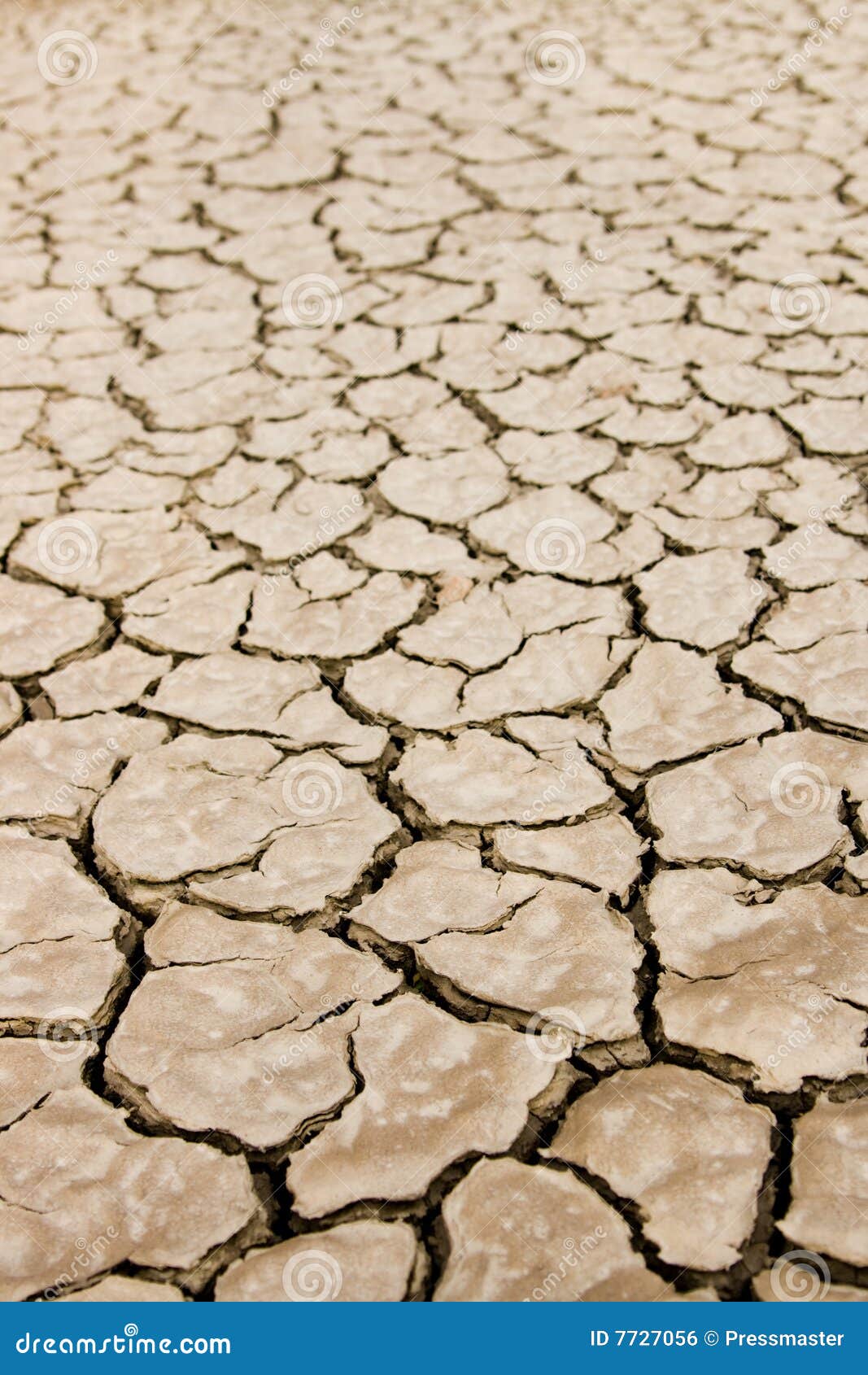 Dry ground stock photo. Image of earth, aridness, barren - 7727056