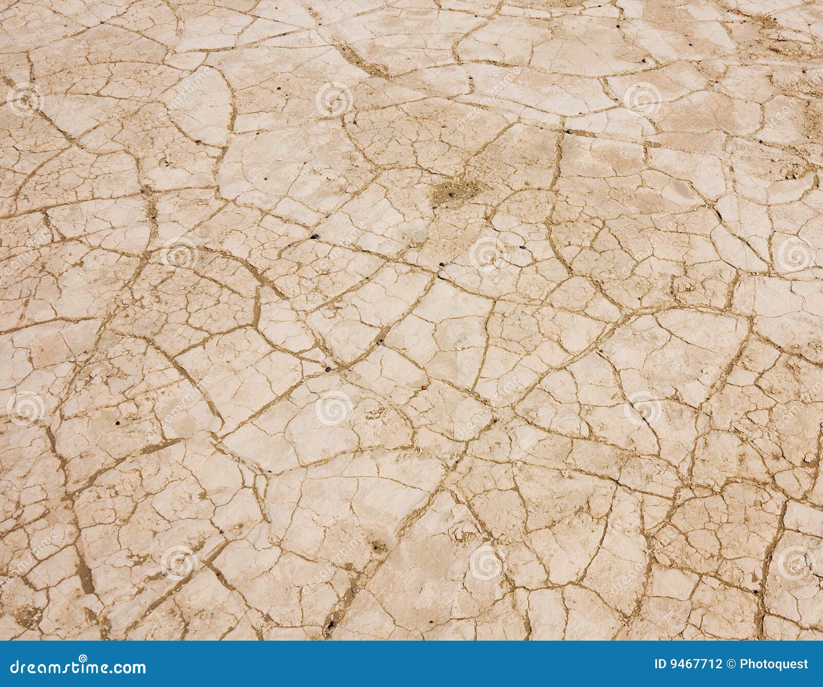 Dry ground stock photo. Image of natural, drain, close - 9467712