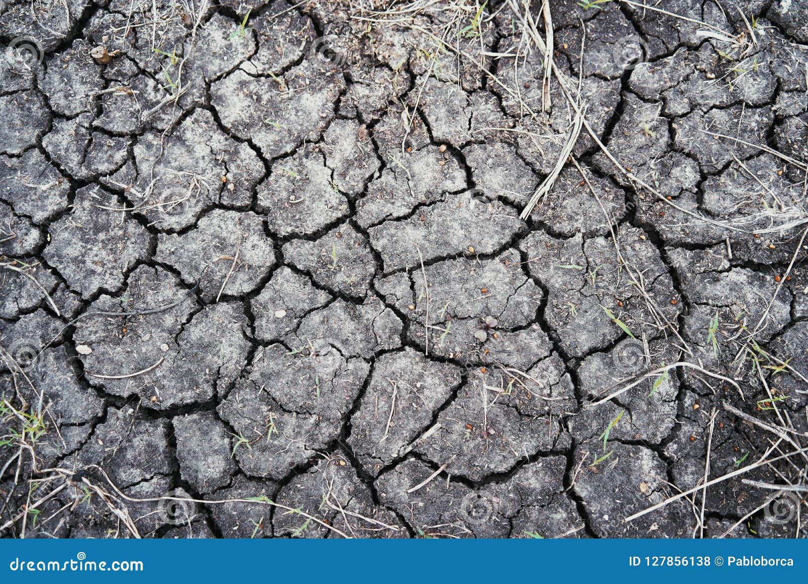 Dry dirt soil stock photo. Image of crack, flooring - 127856138