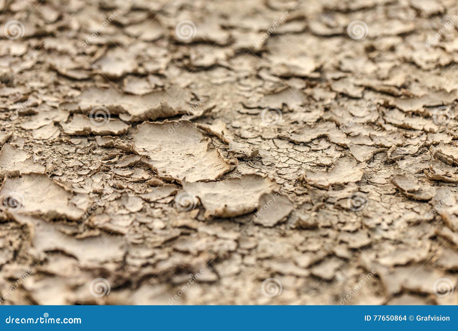 Dry ground background stock photo. Image of texture, dirty - 77650864