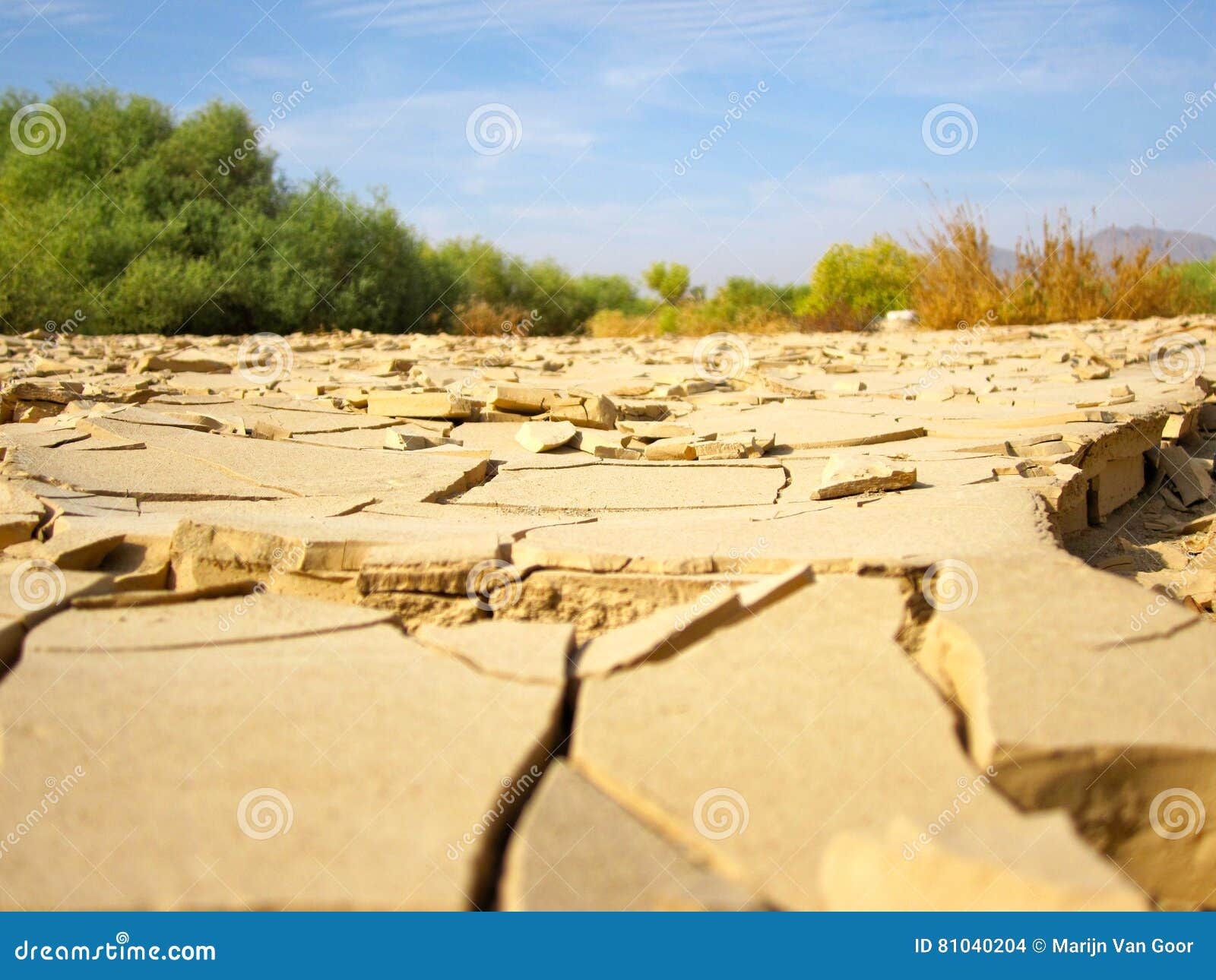 Dry Ground stock photo. Image of rain, blue, plants, dessert - 81040204
