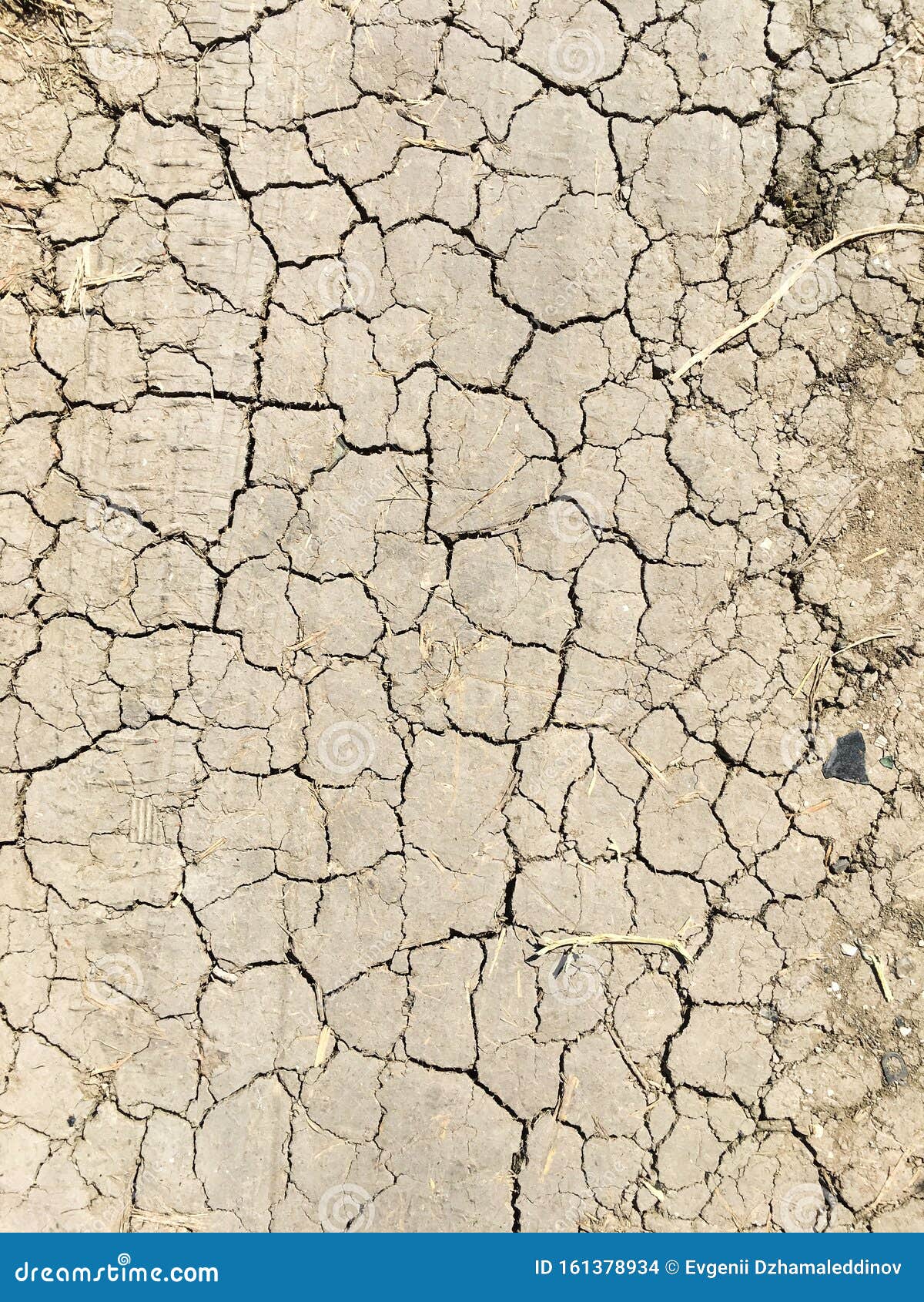 Dry Ground in the Cracks. Global Environmental Issue Stock Photo ...
