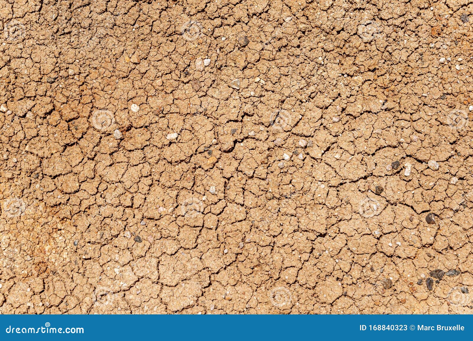 Dry ground with cracks stock image. Image of fissure - 168840323