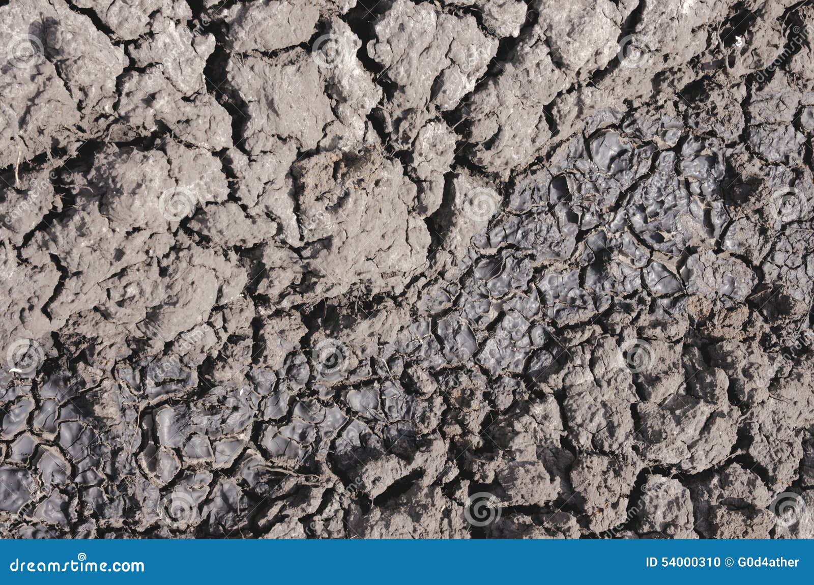 Dry ground stock photo. Image of ground, cleft, texture - 54000310