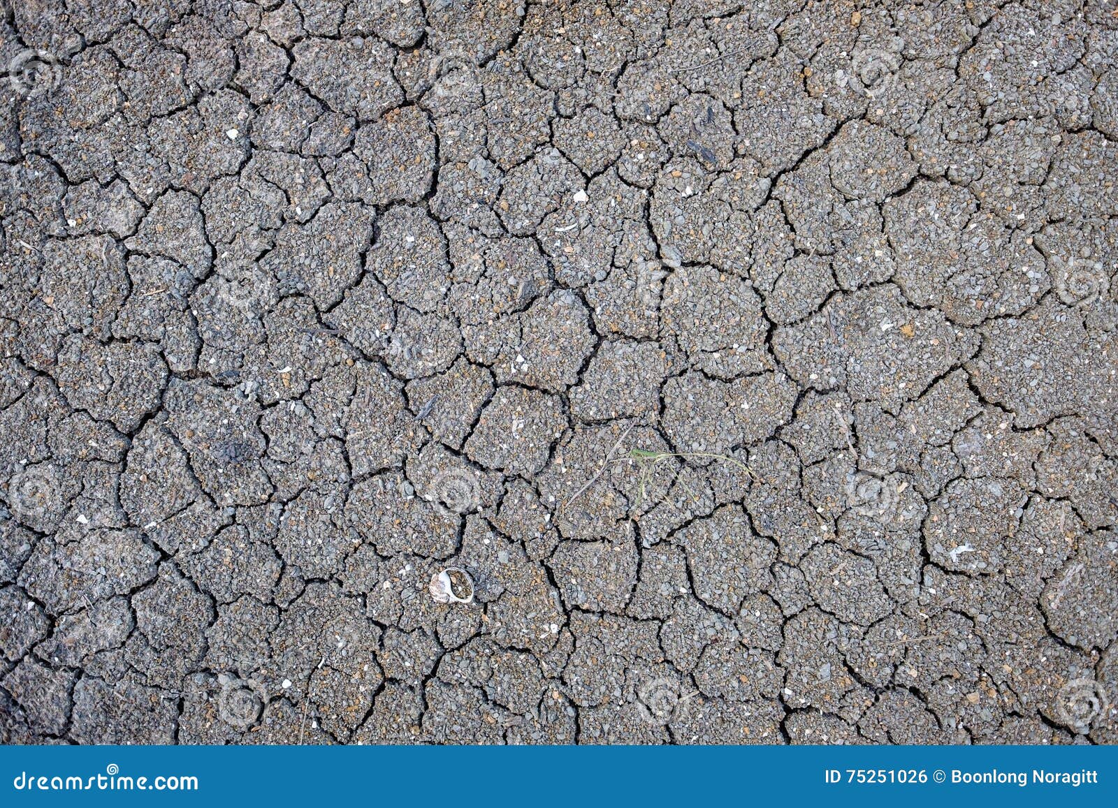 Dry ground pattern stock photo. Image of abstract, soil - 75251026