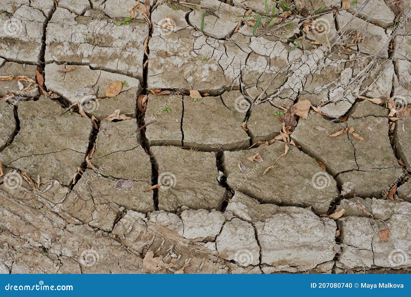 Dry ground surface texture stock photo. Image of change - 207080740