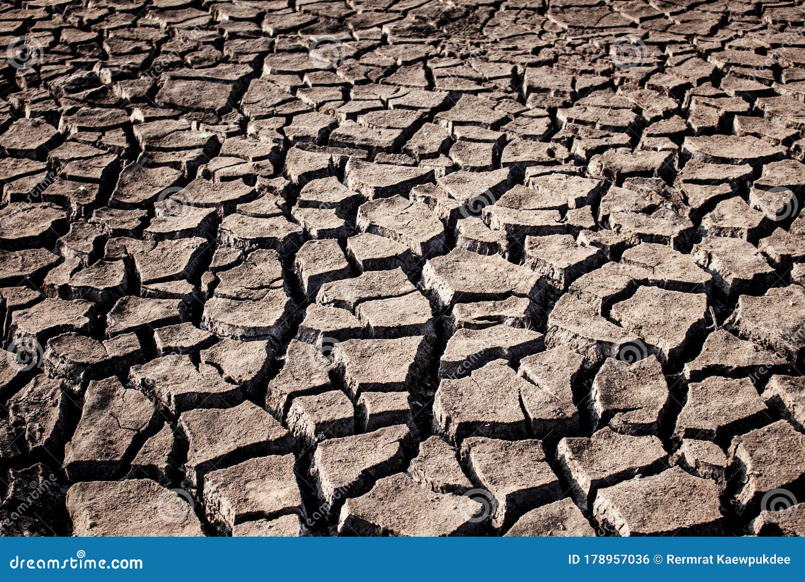 Dry ground with texture stock photo. Image of death - 178957036