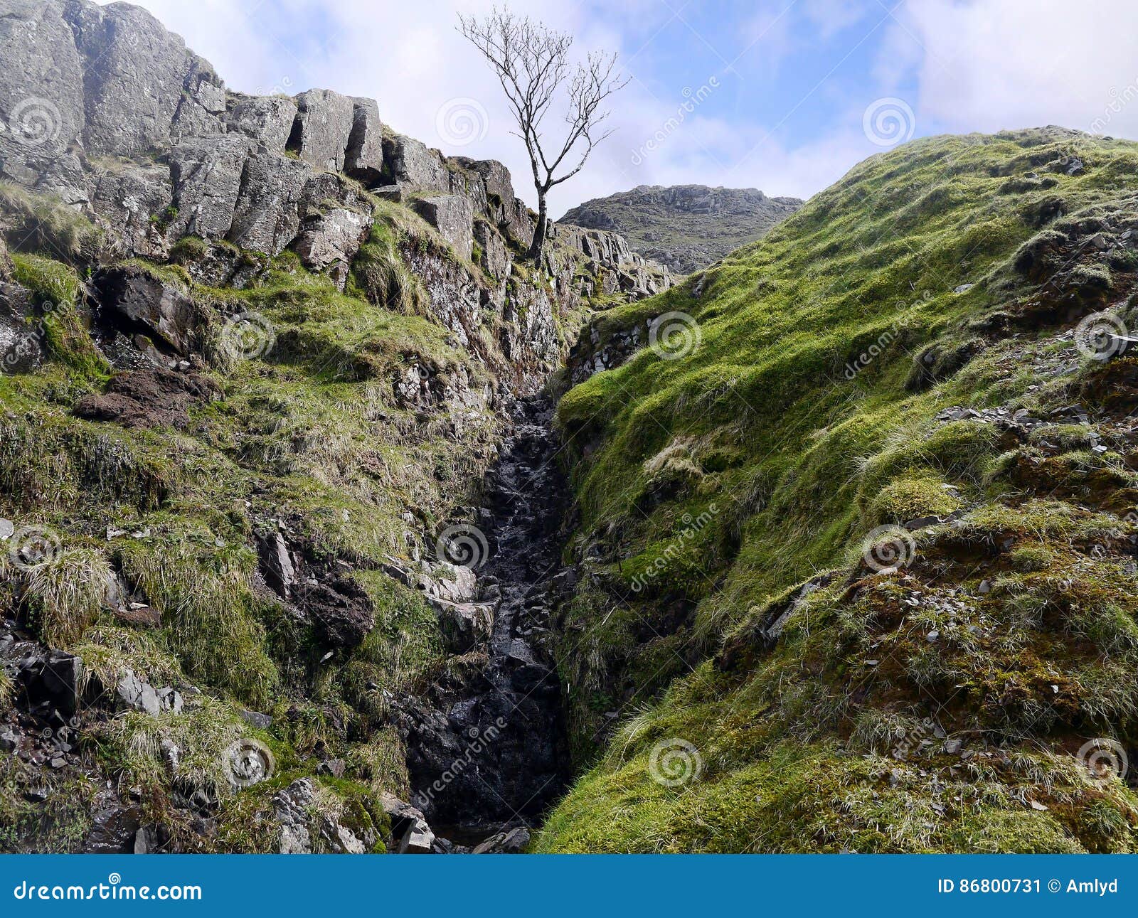 Dry gulley of stone stock image. Image of grassy, risky - 86800731