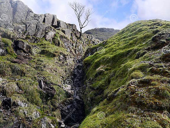 Dry gulley of stone stock image. Image of grassy, risky - 86800731