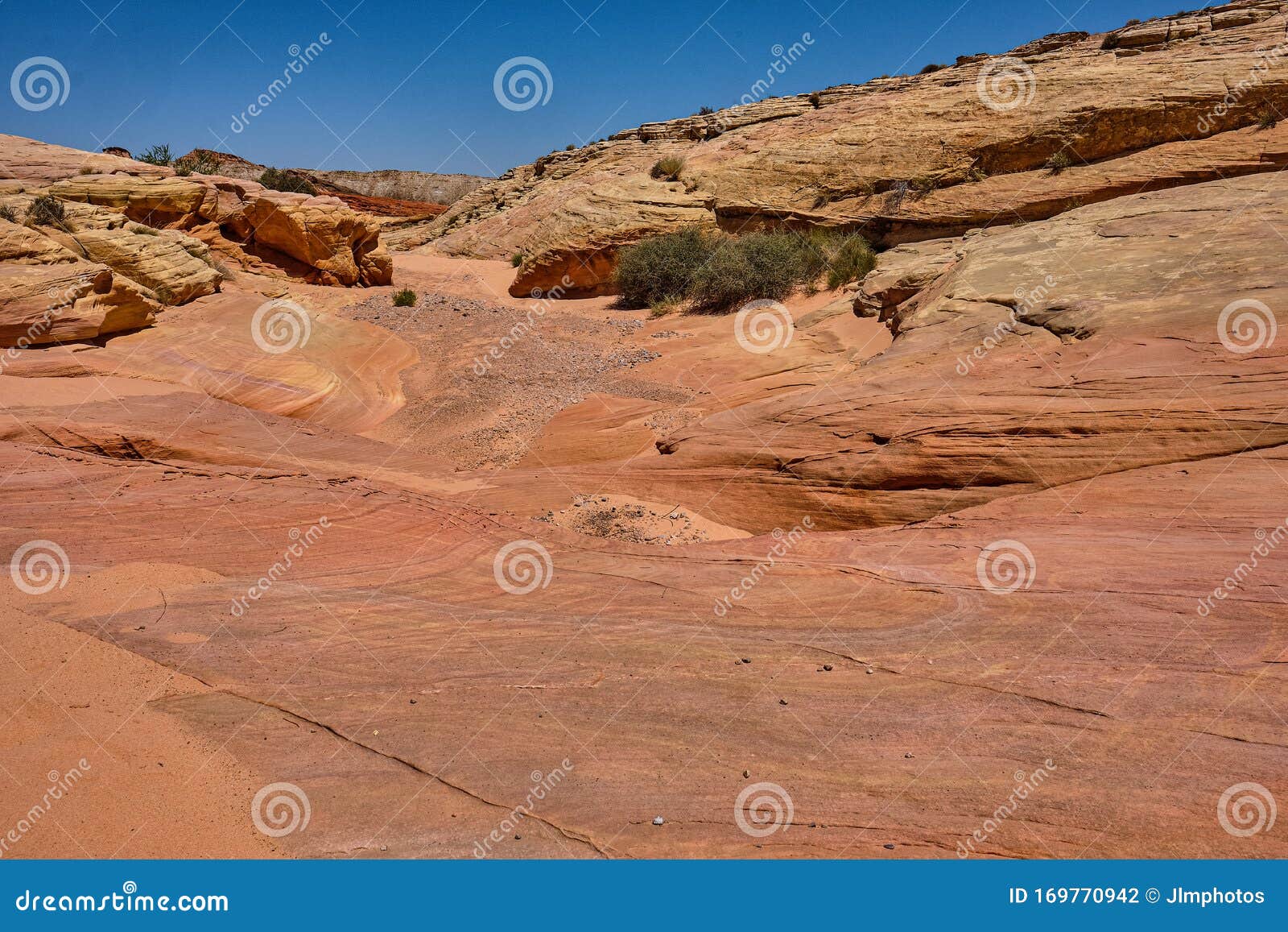 Dry Gully in the Nevada Desert Surrounded by the Colorful Pink Lined ...