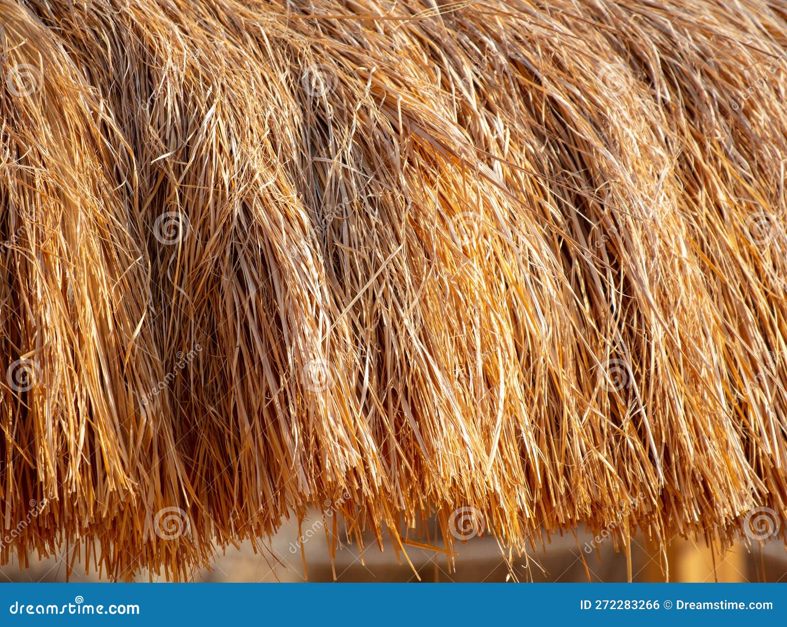 Dry Hay As an Abstract Background. Stock Photo - Image of rural, summer ...
