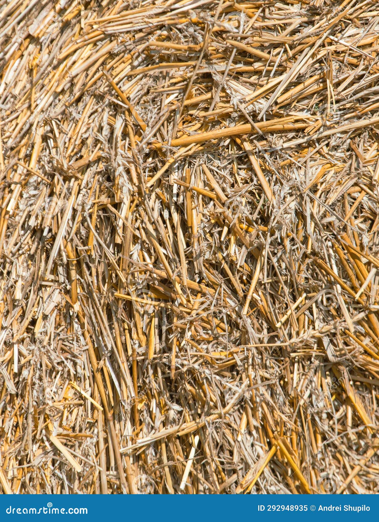 Dry Hay As an Abstract Background. Texture Stock Image - Image of ...