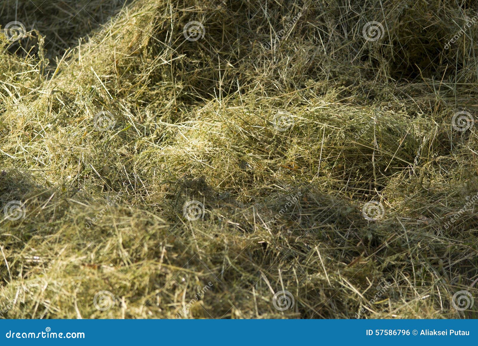 Dry hay background stock photo. Image of rural, background - 57586796