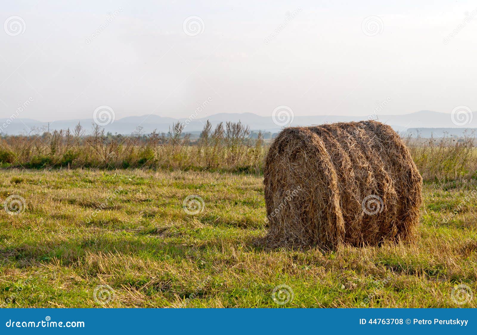 Dry hay bale stock photo. Image of landscape, natural - 44763708