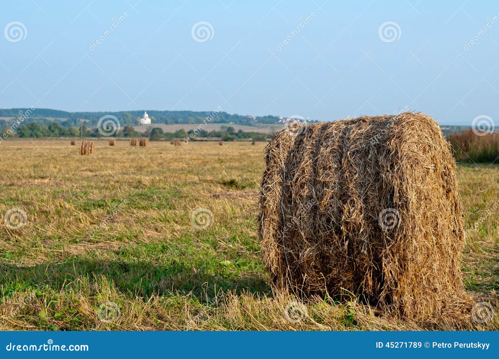 Dry hay stock image. Image of package, land, circle, countryside - 45271789