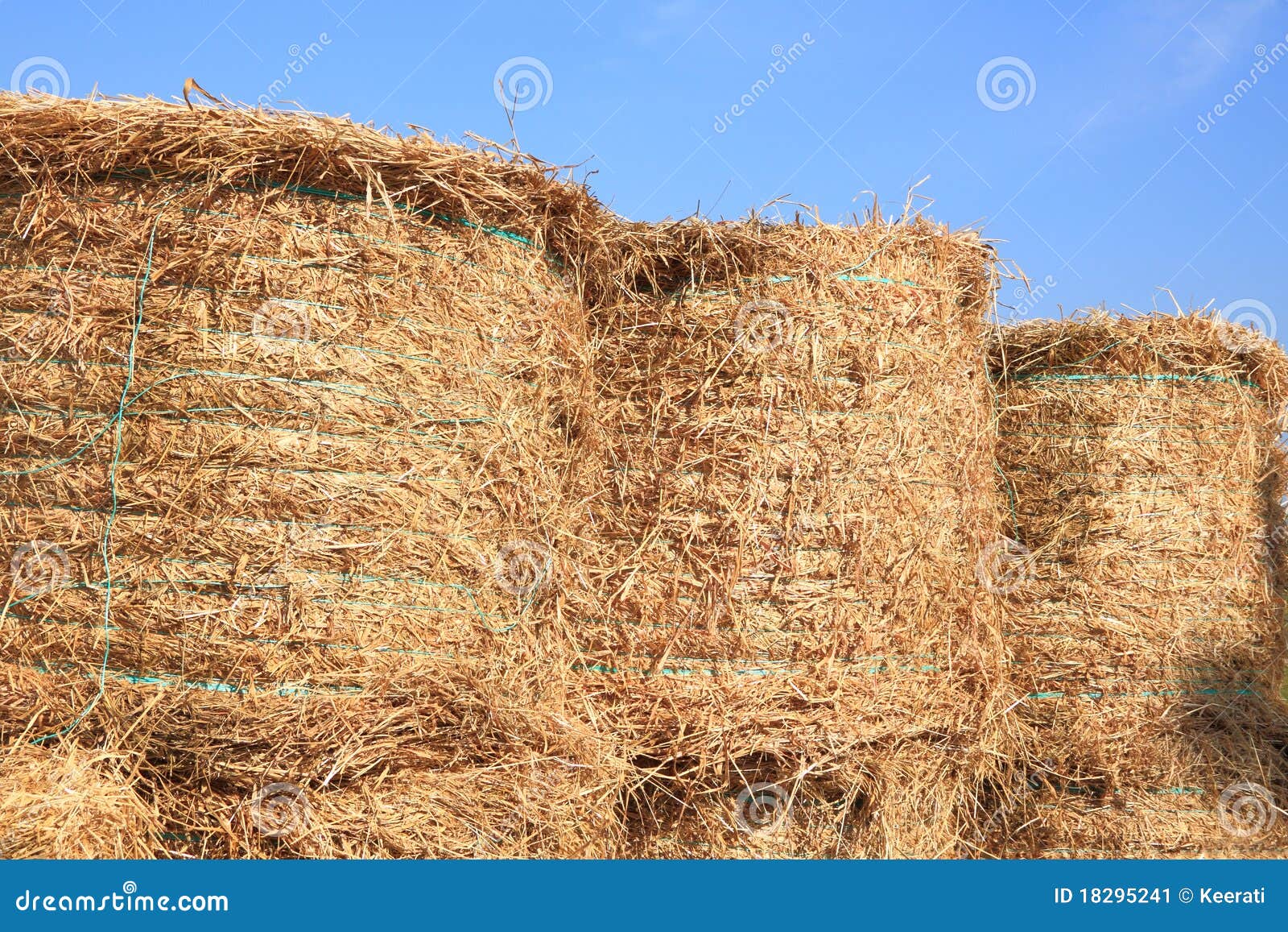 Dry hay in cow farm stock image. Image of country, nature - 18295241