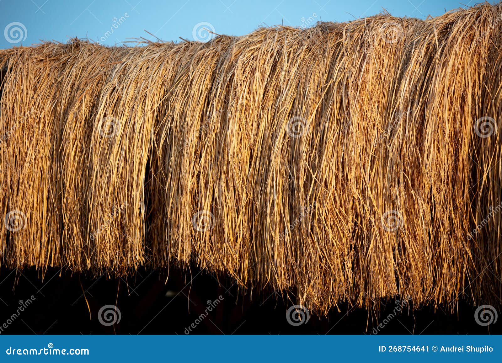 Dry Hay on the Roof of the House. Stock Image - Image of detail, home ...