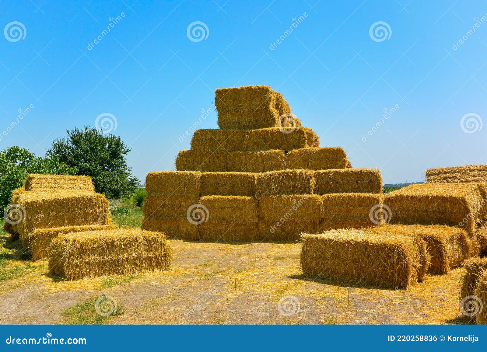 Dry Haystack, Farming Symbol of Harvest Time Stock Photo - Image of ...