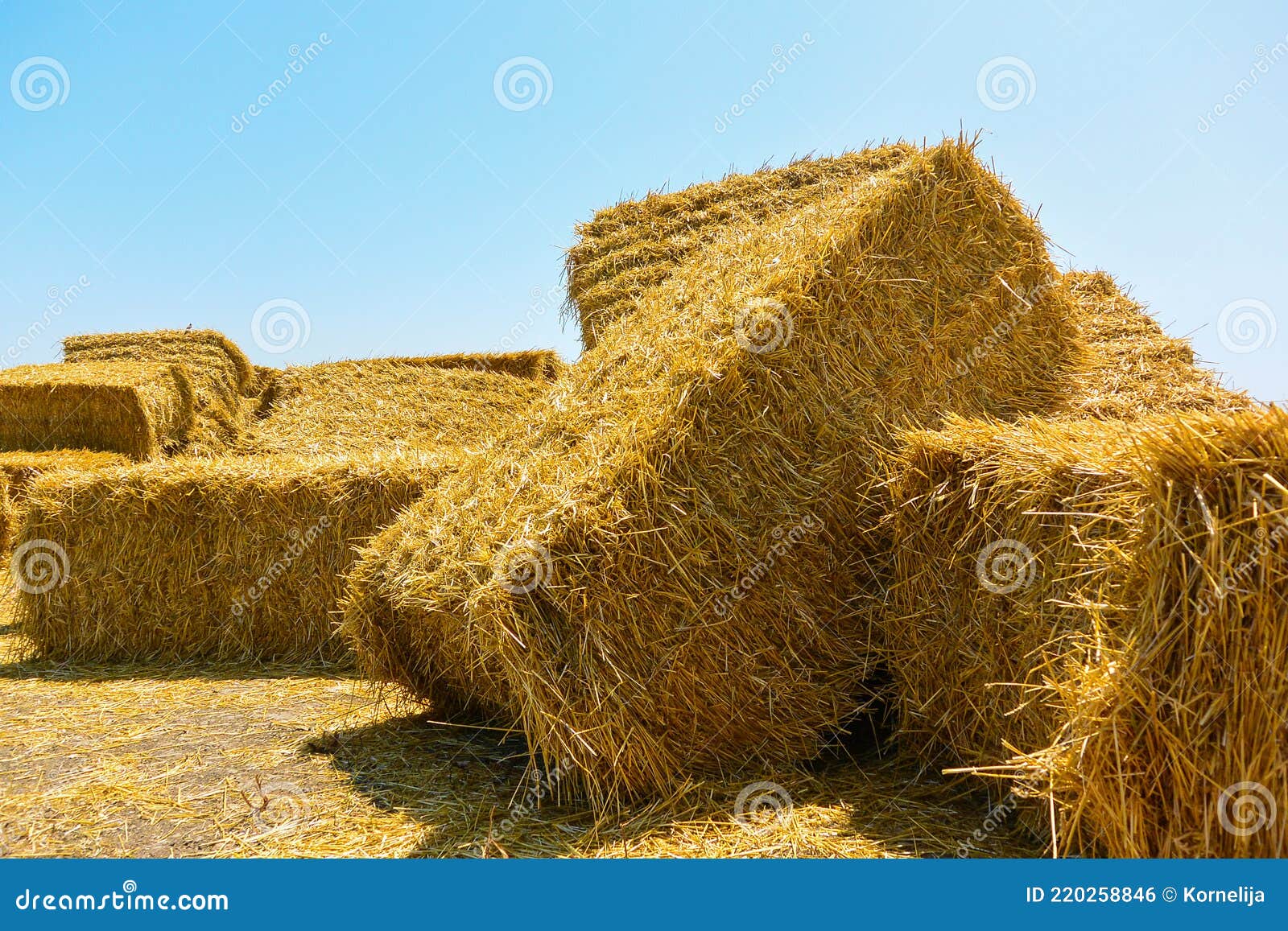 Dry Haystack, Farming Symbol of Harvest Time Stock Photo - Image of ...