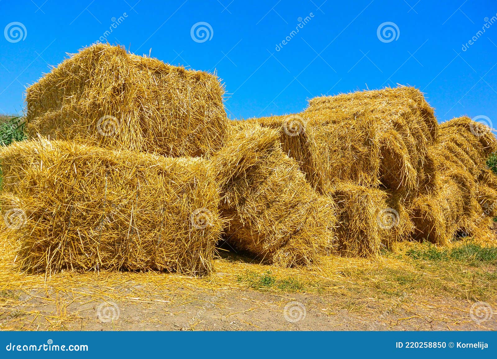 Dry Haystack, Farming Symbol of Harvest Time Stock Photo - Image of ...