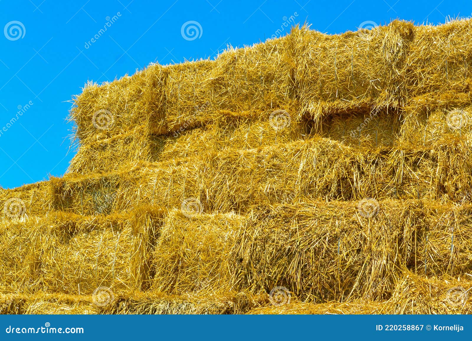 Dry Haystack, Farming Symbol of Harvest Time Stock Image - Image of ...