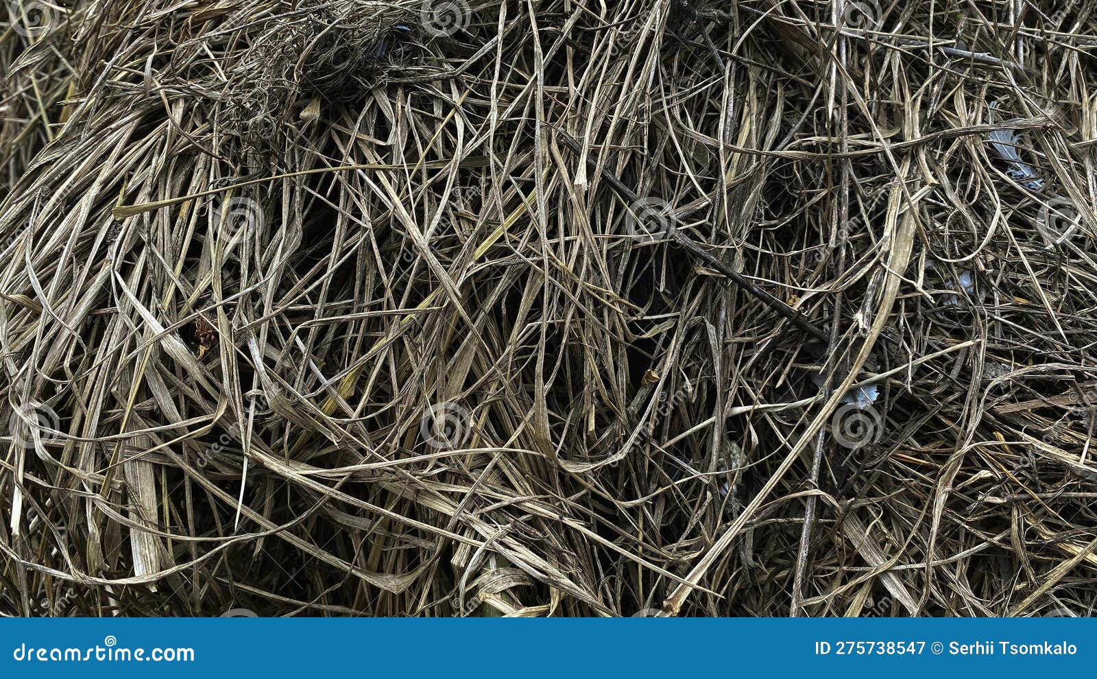 Dry hay stack stock image. Image of minimalist, stack - 275738547