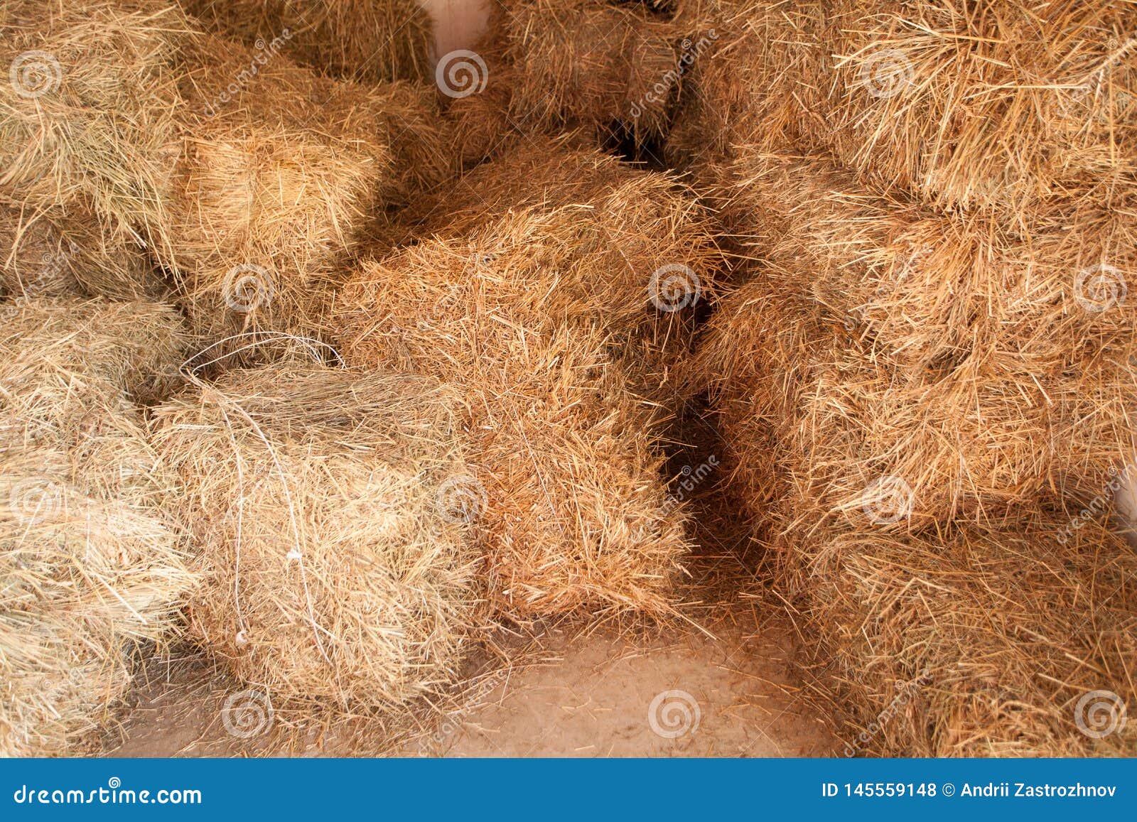 Dry Hay Stacks, Inside the Barn Stock Photo - Image of feed, rural ...