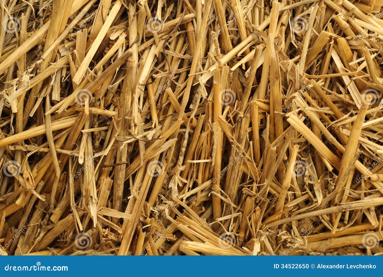 Dry hay stock photo. Image of energy, grains, dried, fuel - 34522650