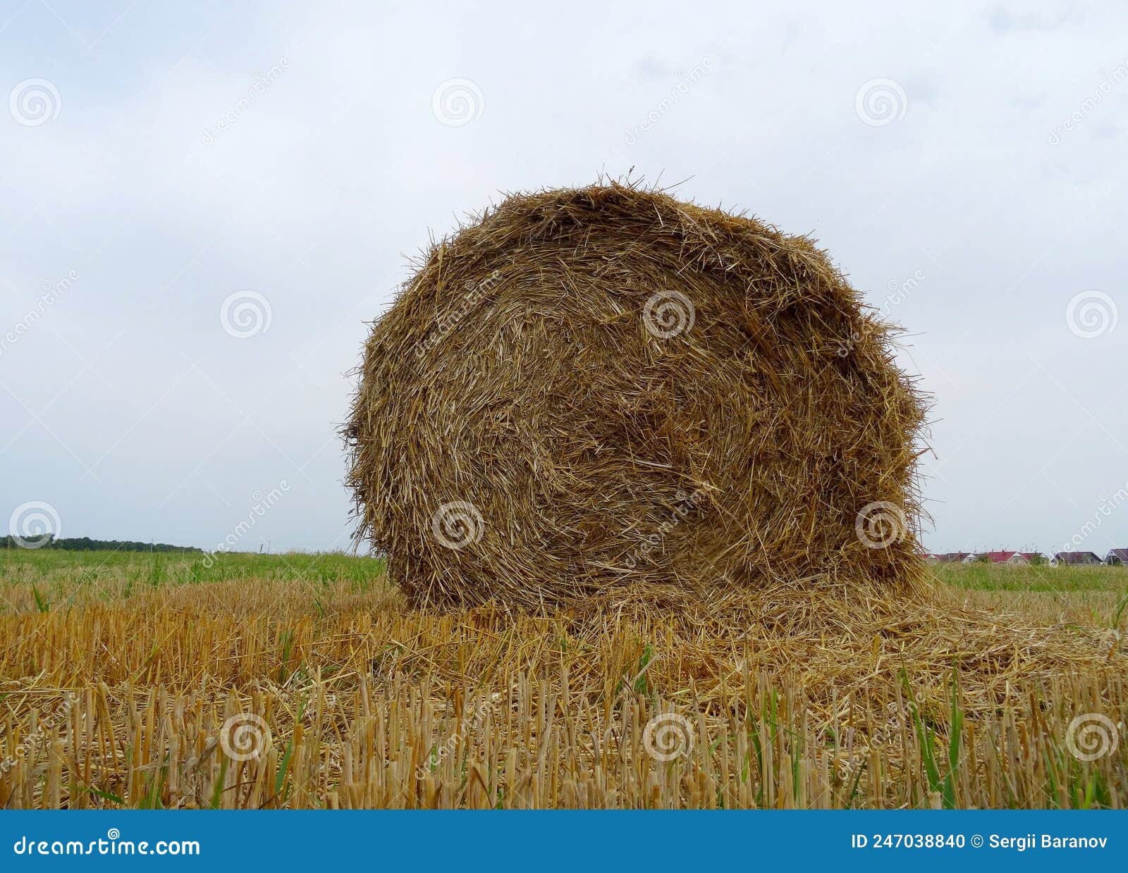 Dry Hayrick on a Field after Harvesting Stock Photo - Image of haymow ...