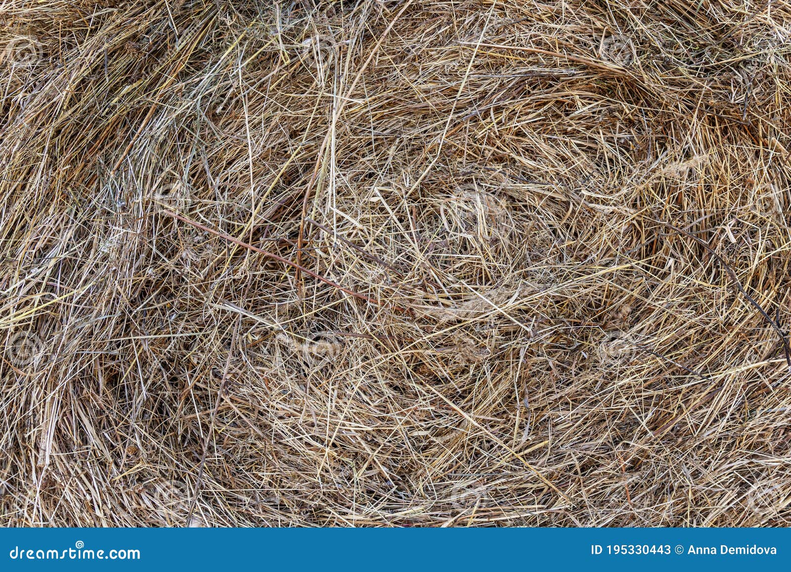 Dry Haystack. Background. Space for Text Stock Image - Image of season ...