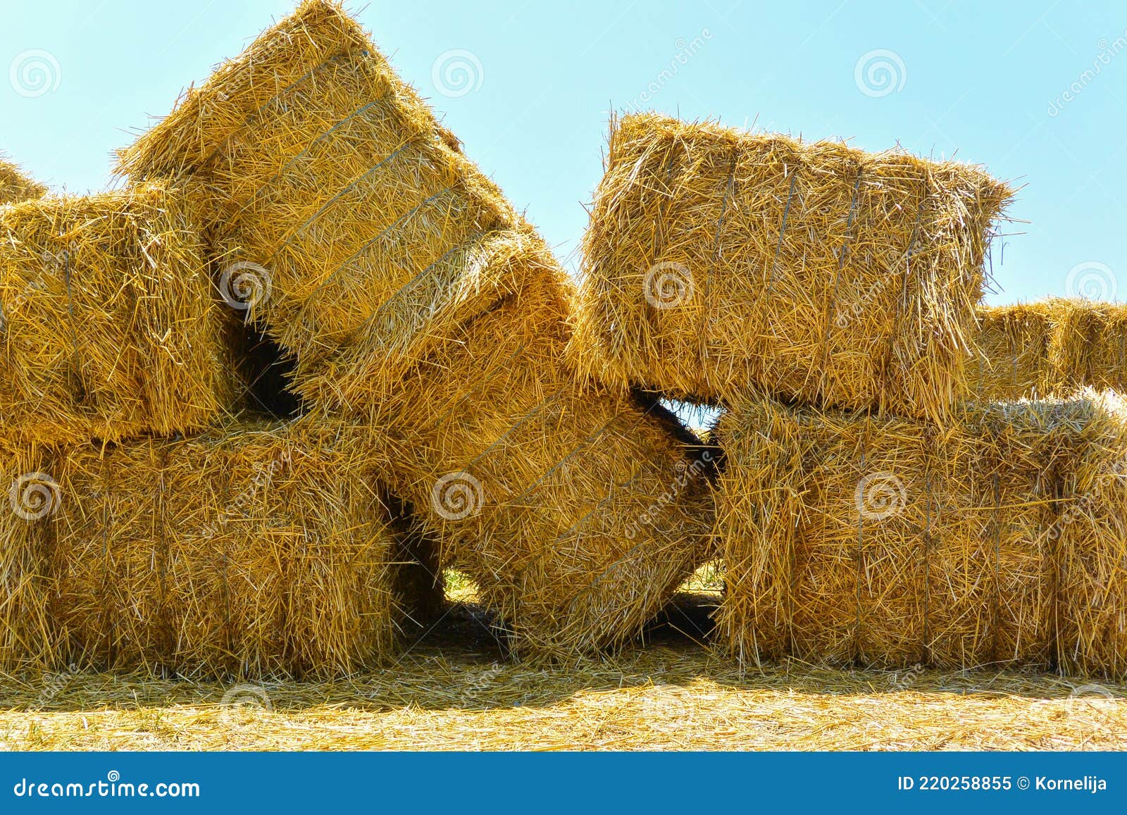 Dry Haystack, Farming Symbol of Harvest Time Stock Image - Image of ...