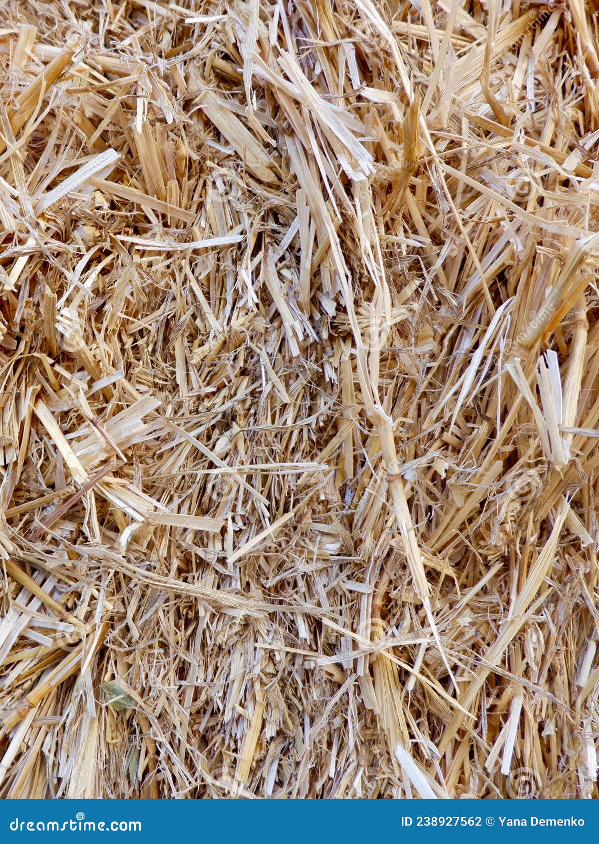 Dry Haystack of Yellow Warm Colour Outside for Backgrounds and ...
