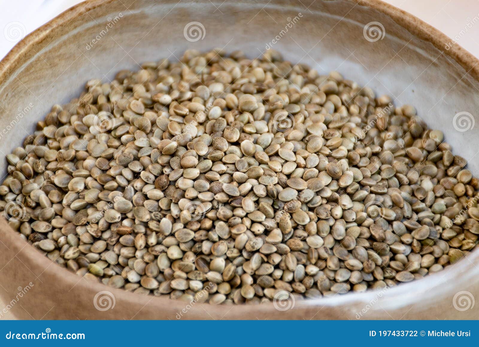 Dry hemp cannabis seeds stock photo. Image of cuisine - 197433722