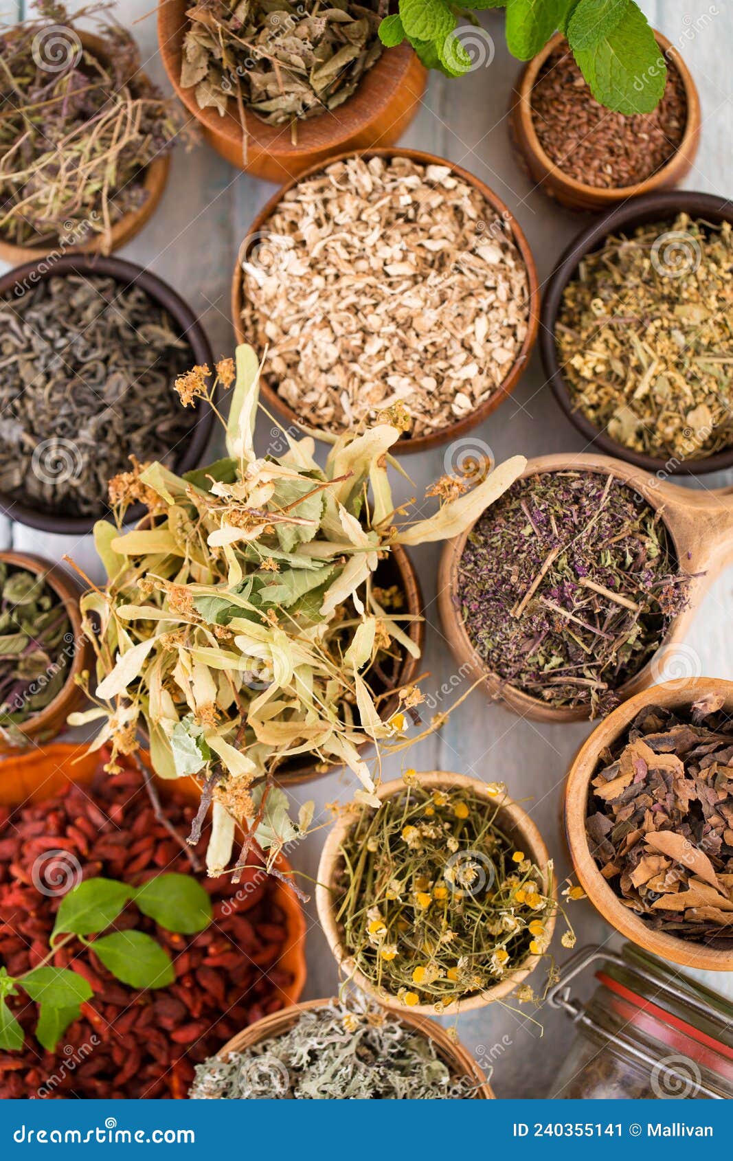 Dry herbs collection stock image. Image of cure, mint - 240355141