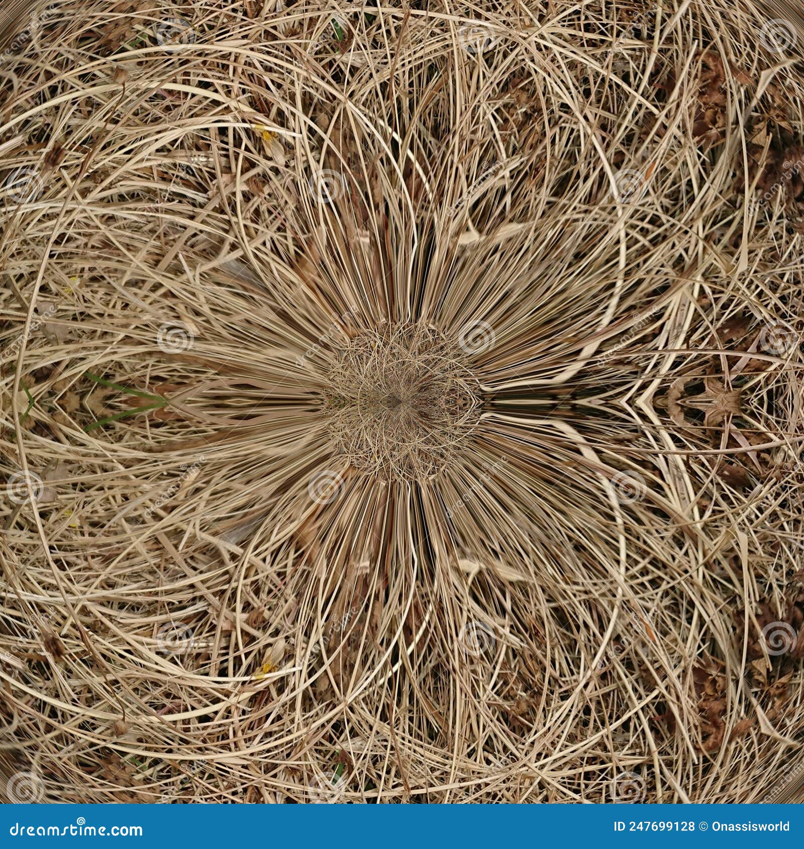 Dry Hey Abstract Background Shapes Textured Blurred Stock Photo - Image ...