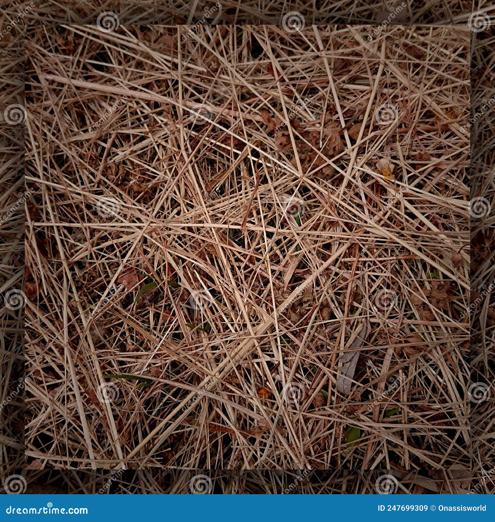 Dry Hey Abstract Background Shapes Textured Blurred Stock Image - Image ...
